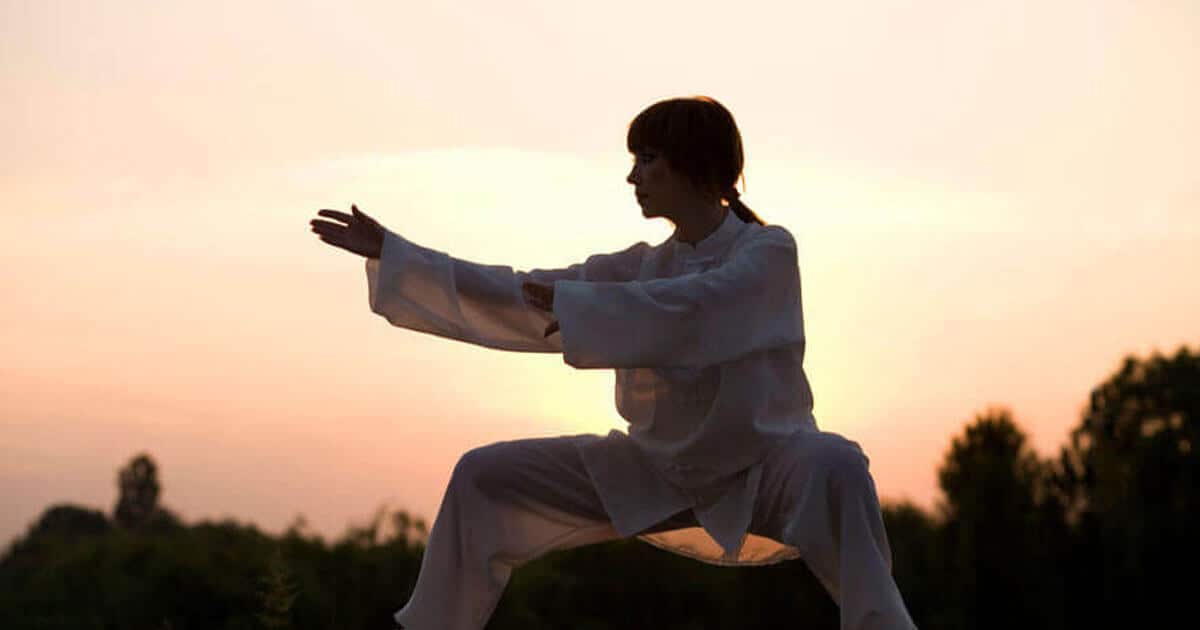 Student Area | Martial Arts Lessons in Columbia, MO - Rifkin ...